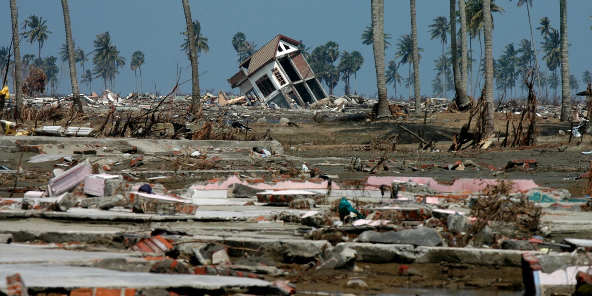 Dataminr First Alert - Dataminr