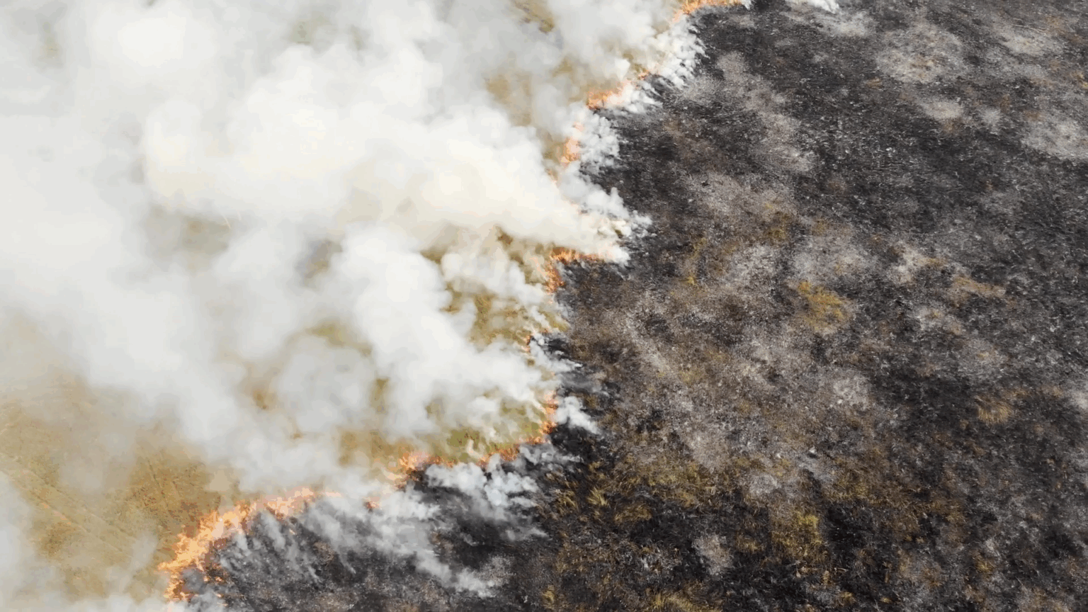 Protect Communities, Infrastructure and Assets With First Alert - Dataminr